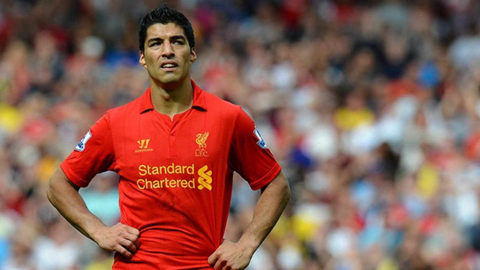 Five Players With The Most Goals In A Single Premier League Season