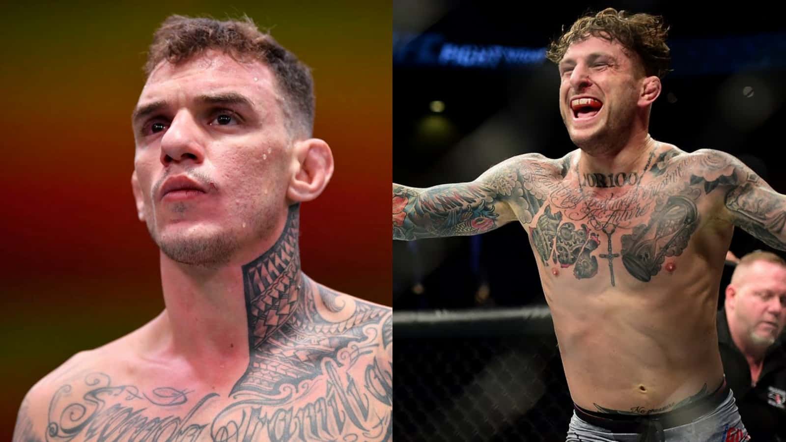 “Gillespie is avoided, my strategy is to ask for those fights,” Renato ... “Gillespie is avoided, my strategy is to ask for those fights,” Renato ...