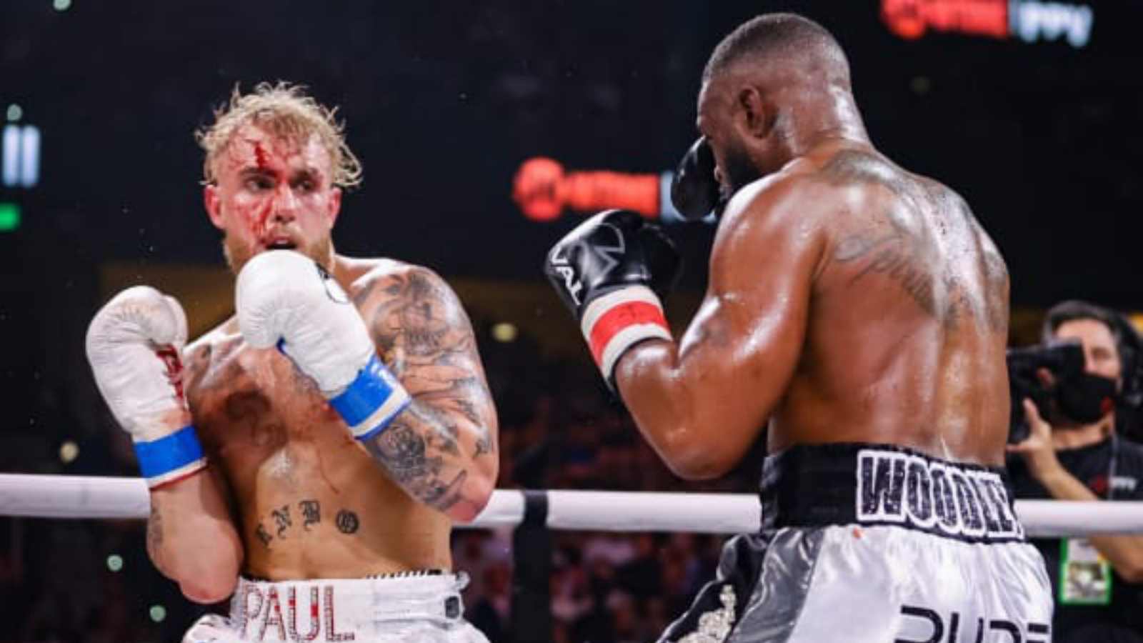 Brutal: Logan Paul offers fans a closer look at Jake Paul's cut after ...