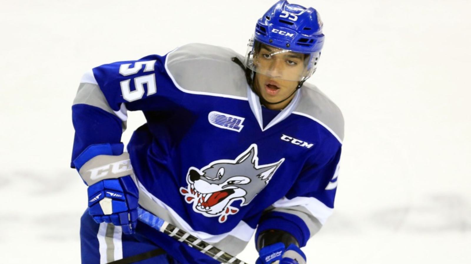 Quinton Byfield Net Worth: How Rich is the highest drafter black player ...