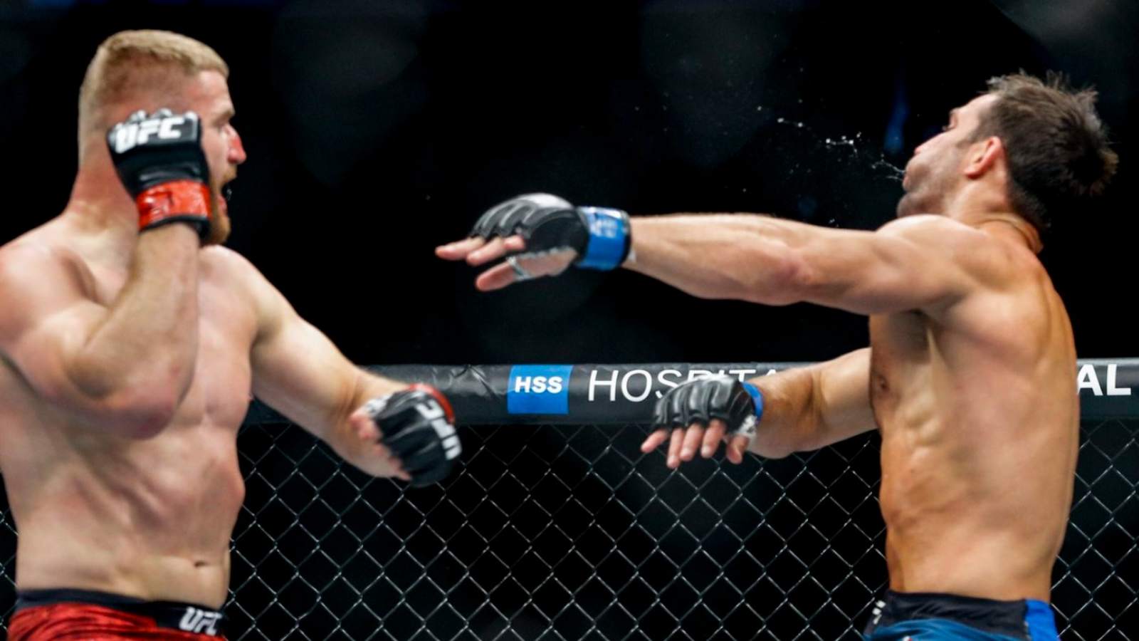 "Only one legendary polish power"- Jan Blachowicz files for the term ...