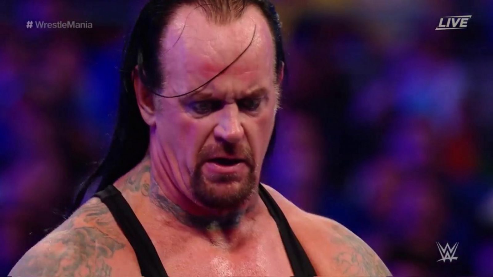 "I wish I could have been a better man" The Undertaker expresses grief ...