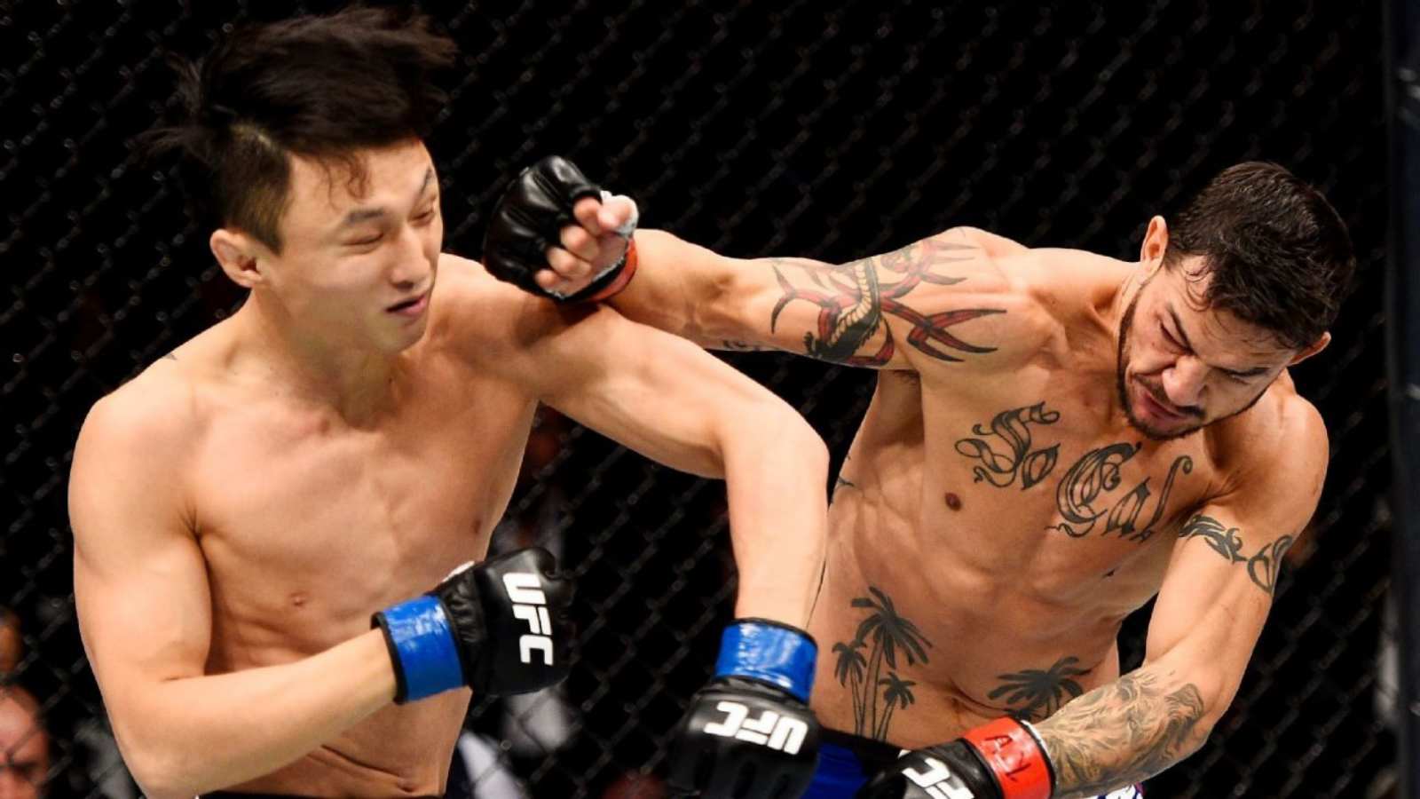 Cub Swanson vs Doo Ho Choi monumental featherweight fight from 2016 ...