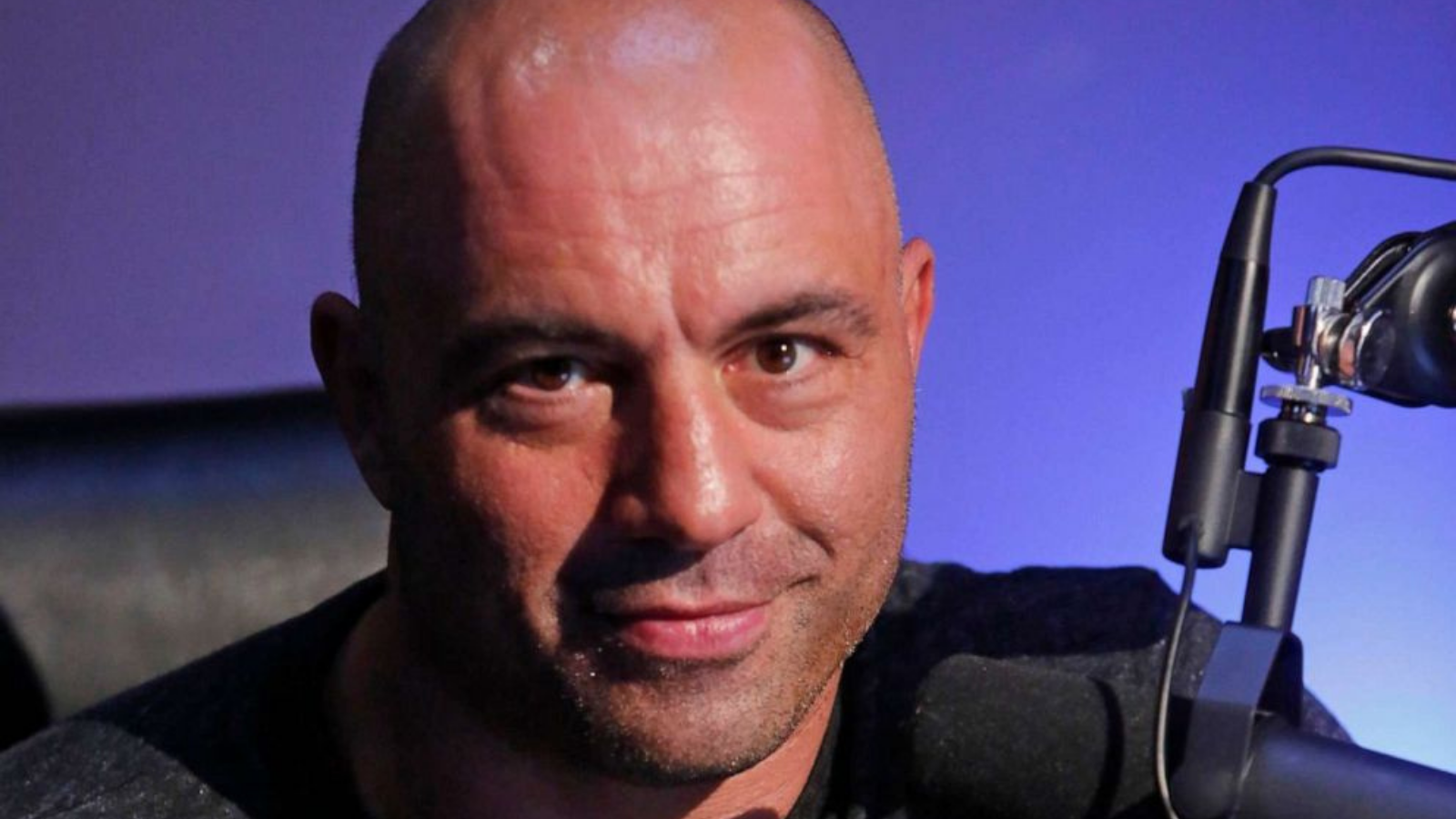 "A weird organization back then"- Joe Rogan recalls his early days with ...