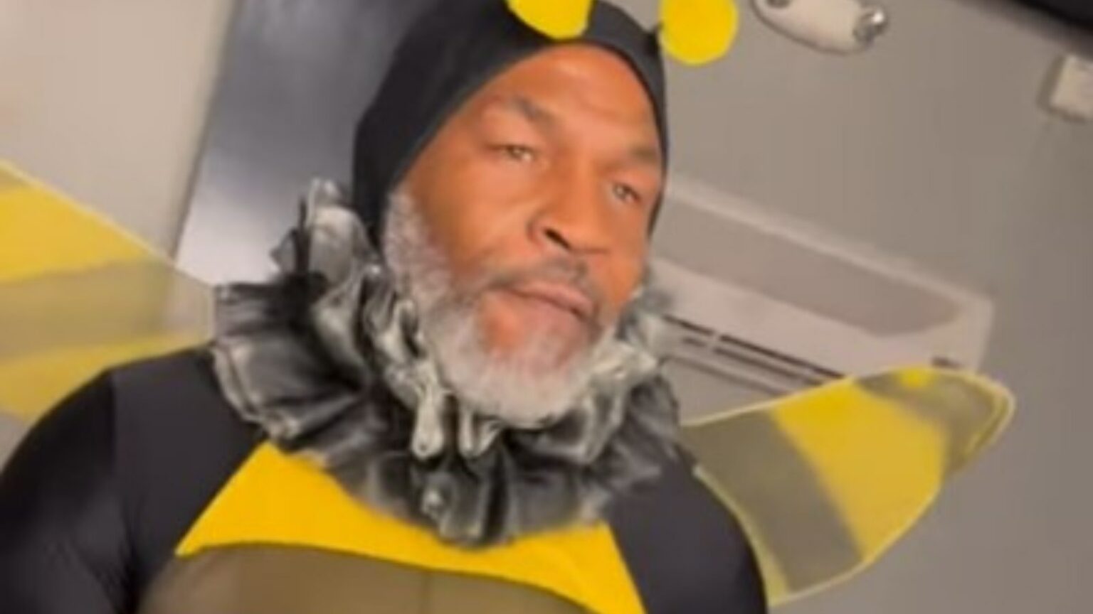 "Champ what you doing?" Fans react to Mike Tyson wearing hilarious "bee ...
