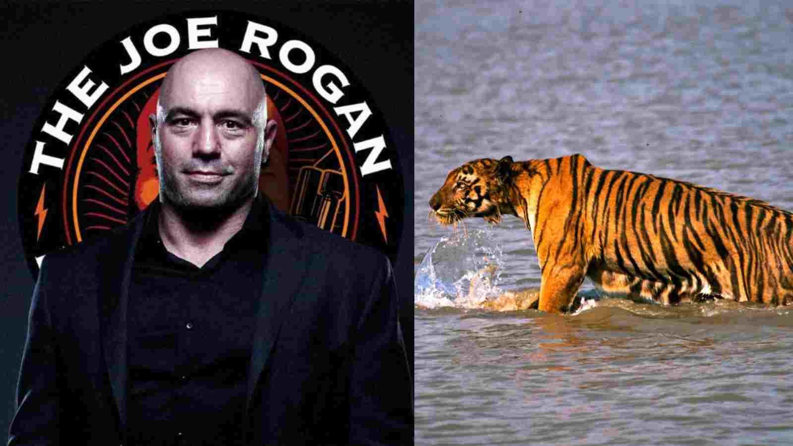 "Got tired of KILLING people"- Joe Rogan narrates a HORRIFYING tale of ...