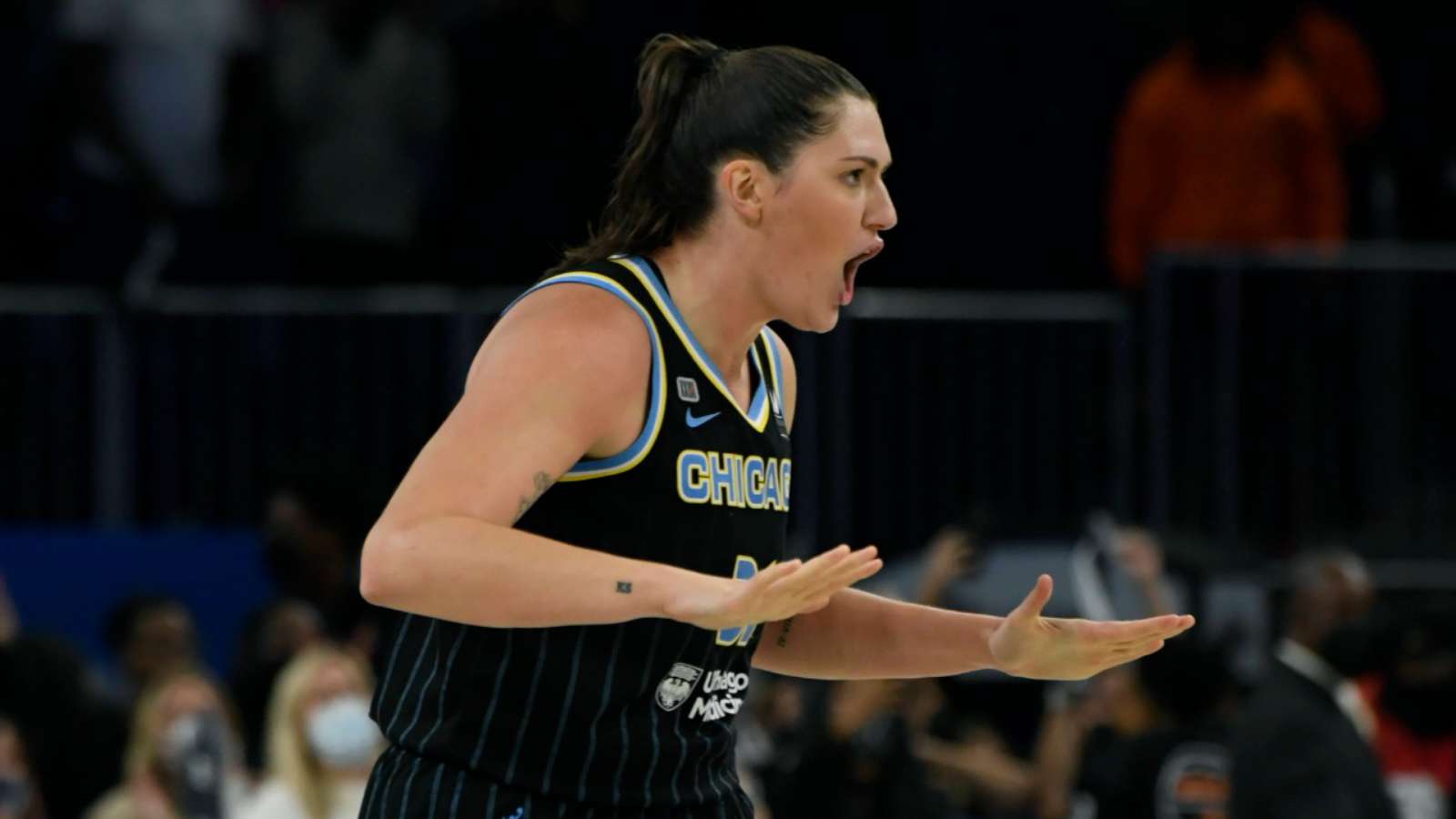 “We are neither Lawyers nor Politicians” WNBA All-Star Stefanie Dolson ...