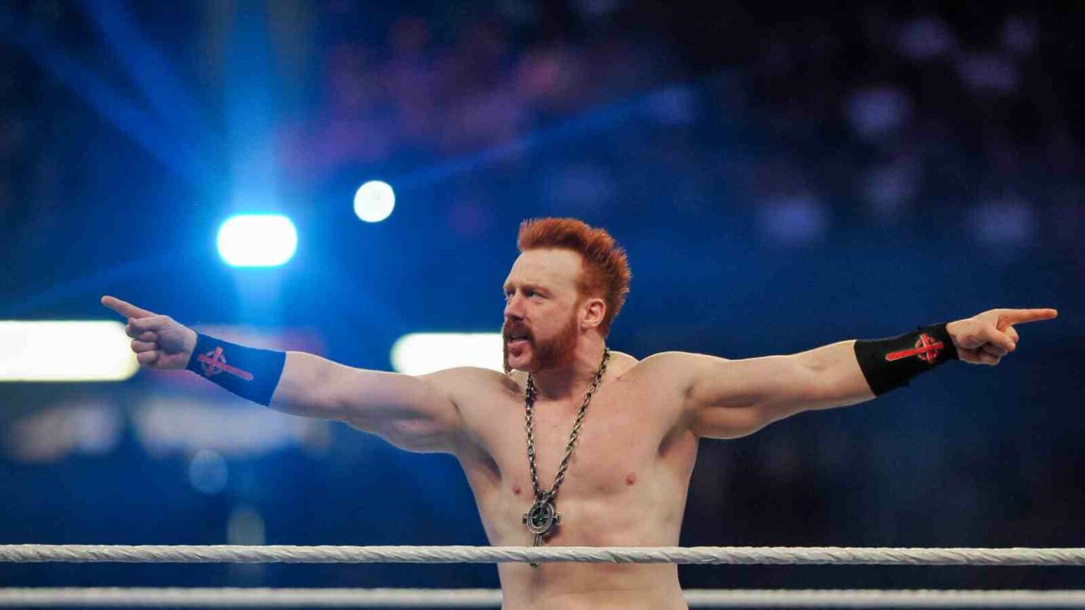 "False Advertising"; Sheamus points out a deformity in WWE announcing a ...