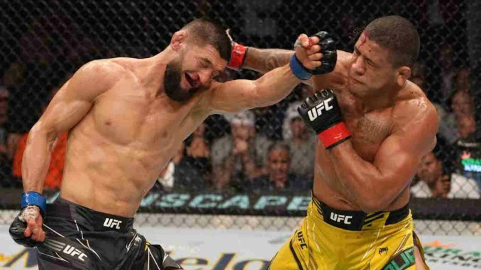 Too big for welterweight? Khamzat Chimaev's JACKED physique has fans ...