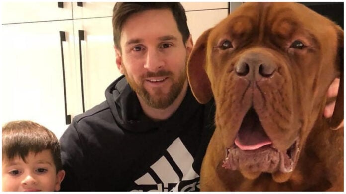 Which breed's dog does Lionel Messi own?