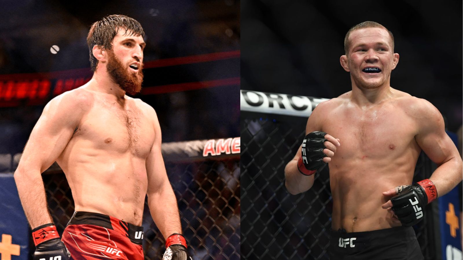 Why do Russian fighters like Magomed Ankalaev and Petr Yan feel ...