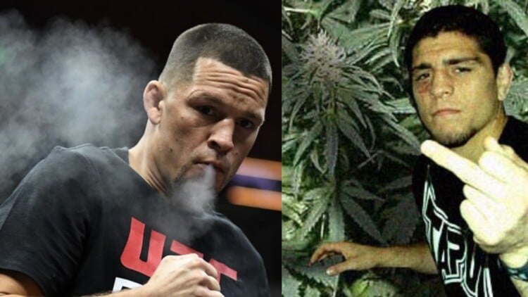 Do Nate Diaz and Nick Diaz have their own weed company?