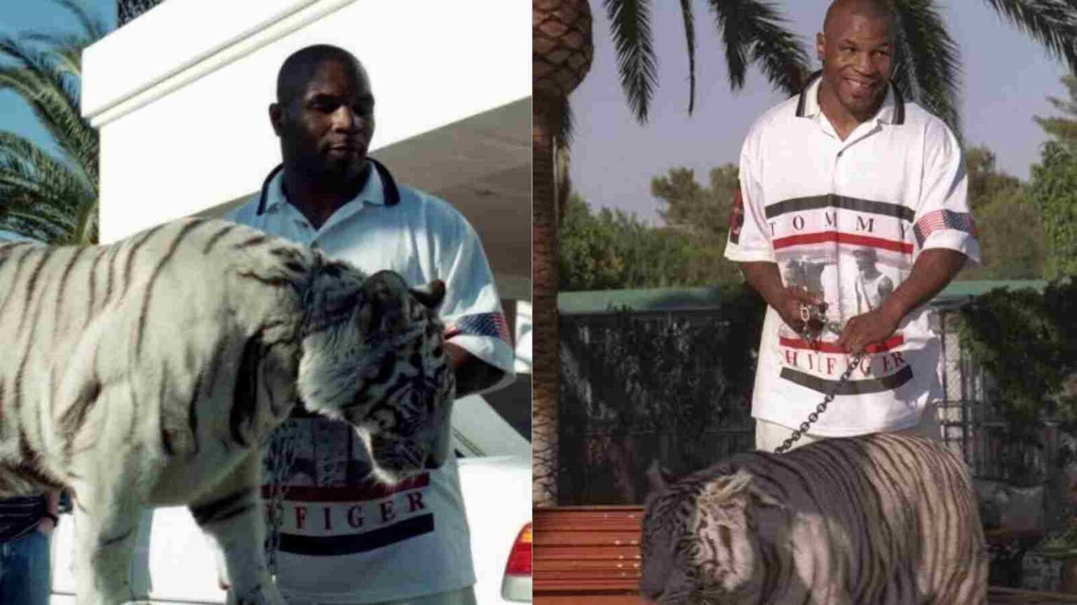 "Ripped somebody's arm off," Mike Tyson's had to pay $250,000 to get ...