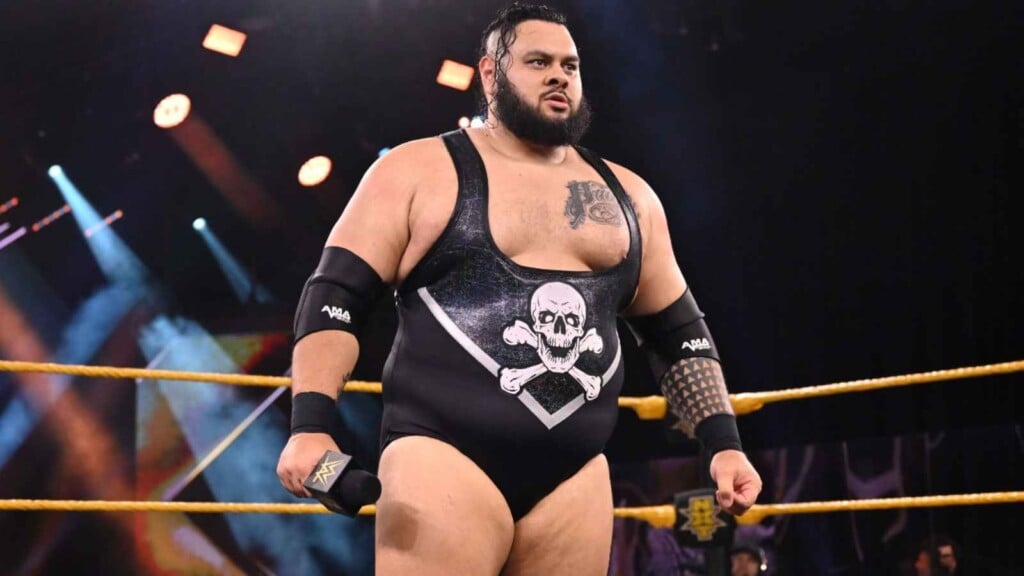 Bronson Reed Net Worth 2024: How rich is "Big" Bronson?