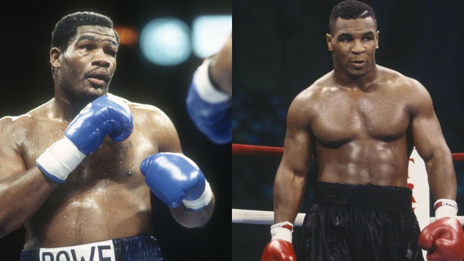 Why did Mike Tyson deny fighting the Olympic medalist Riddick Bowe? Why did Mike Tyson deny fighting the Olympic medalist Riddick Bowe?