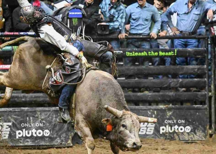 NASCAR team owner Richard Childress takes over Bull Riding team