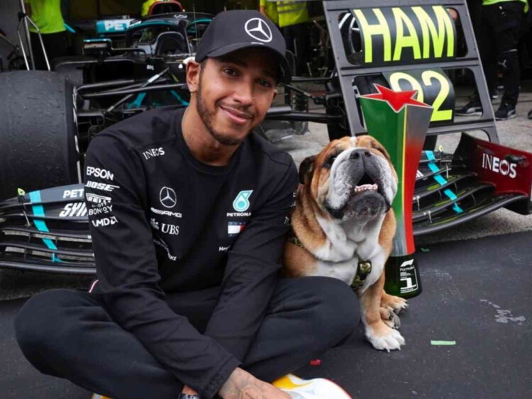 Revealed: Here is how much Lewis Hamilton’s pet dog Roscoe earns as a ...