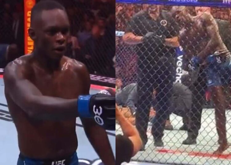 WATCH: Israel Adesanya 'teabags' to take revenge on Alex Pereira's son ... WATCH: Israel Adesanya 'teabags' to take revenge on Alex Pereira's son ...