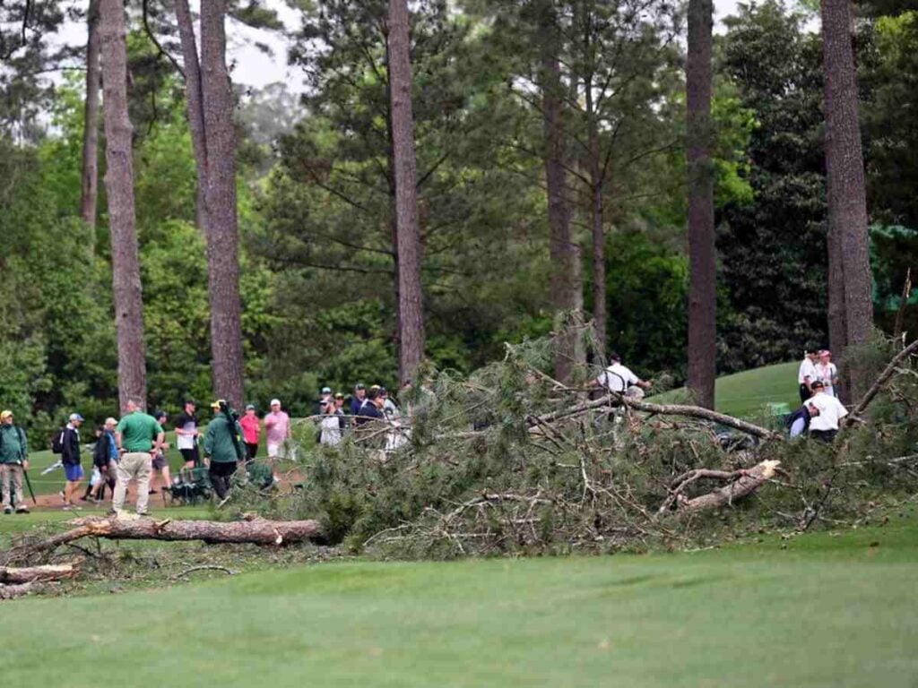 WATCH - Frightening moment at Masters as tree crashes down forcing ...