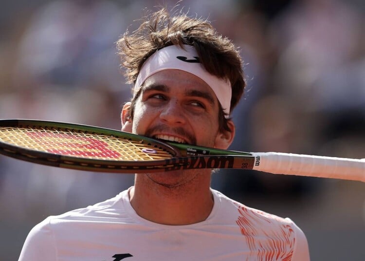 Who is Thiago Seyboth Wild? The ATP World No. 172 qualifier who stunned ...