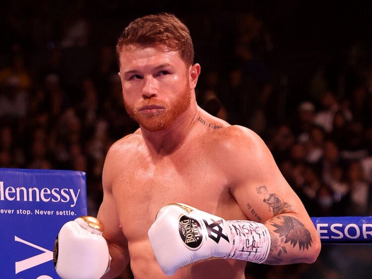 Canelo Alvarez nickname: What is the story behind the Mexican boxer's ... Canelo Alvarez nickname: What is the story behind the Mexican boxer's ...