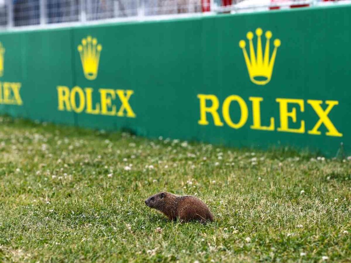 WATCH: F1's 'furry friend' Gary the Groundhog steals the show at ...