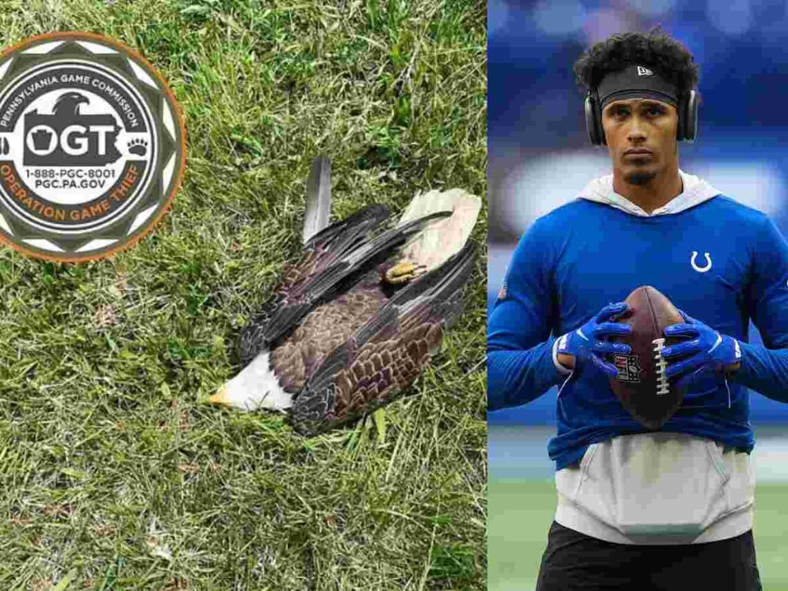 Indianapolis Colts safety Rodney Thomas's father arrested for KILLING ...