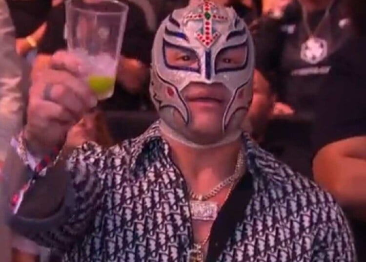WATCH: Rey Mysterio makes a surprise appearance at the UFC 290 event ...
