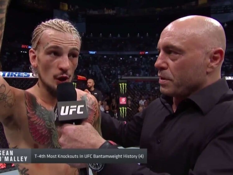 Multi-Millionaire comedians Joe Rogan and Louis CK draw parallels to ...