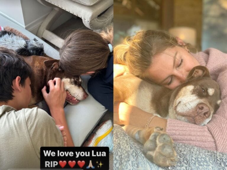 Tom Brady and Gisele Bundchen's longtime dog Lua passes away as the QB posts a heart-wrenching ...