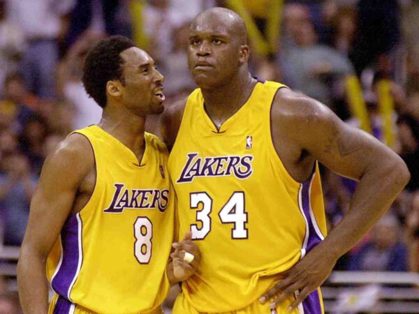 "Don't pet a killer pitbull, you piss him off," Shaquille O'Neal ...