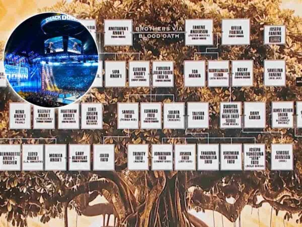 39-year-old WWE star furious after her name is crossed off the ...