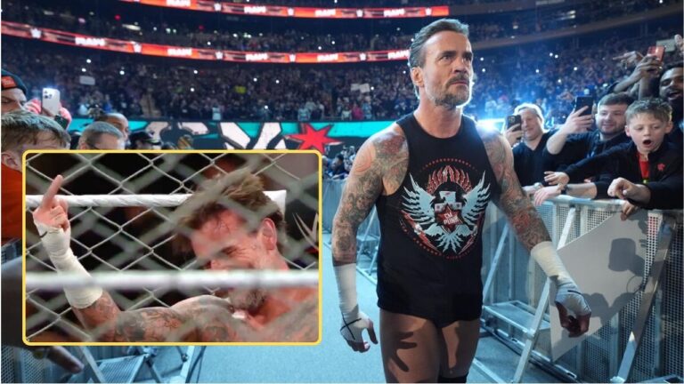 WATCH: CM Punk's NSFW gesture toward Seth Rollins forces screen ...